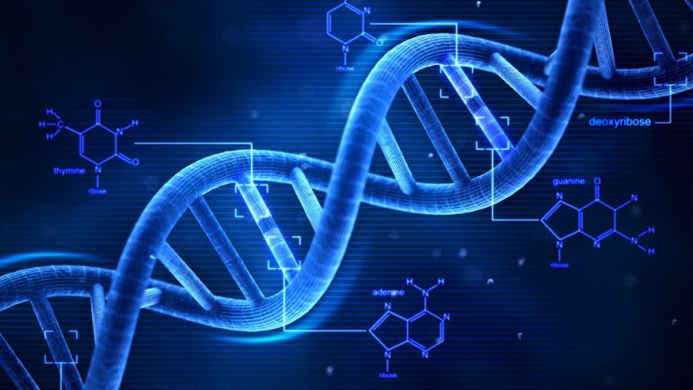 AP Biology – AP生物学课本、教程与资料
